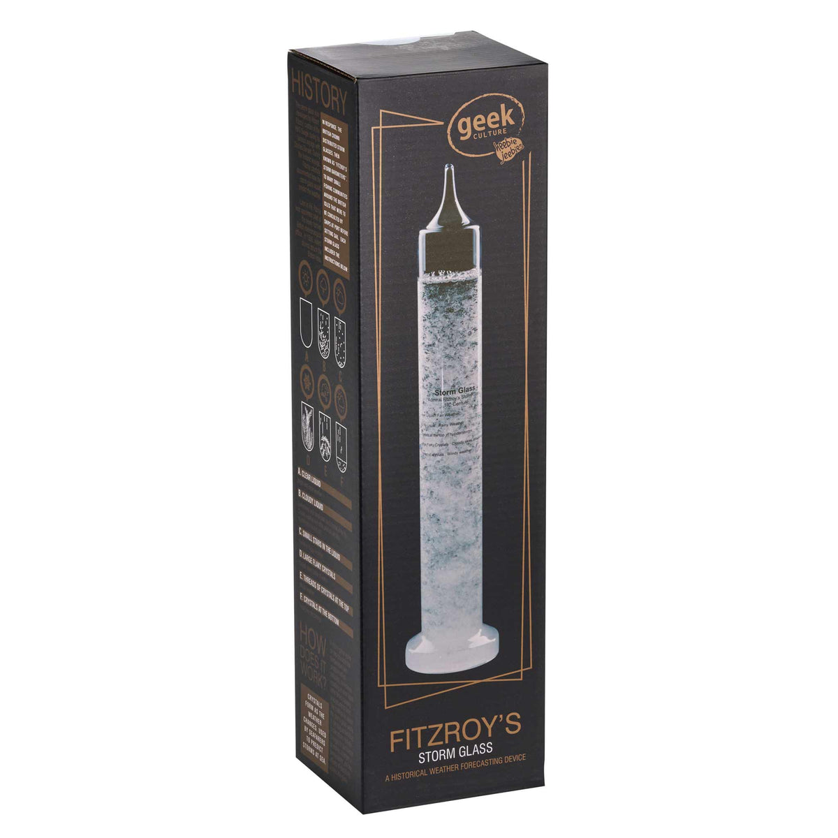 Fitzroy's Storm Glass 11" — Heebie Jeebies USA