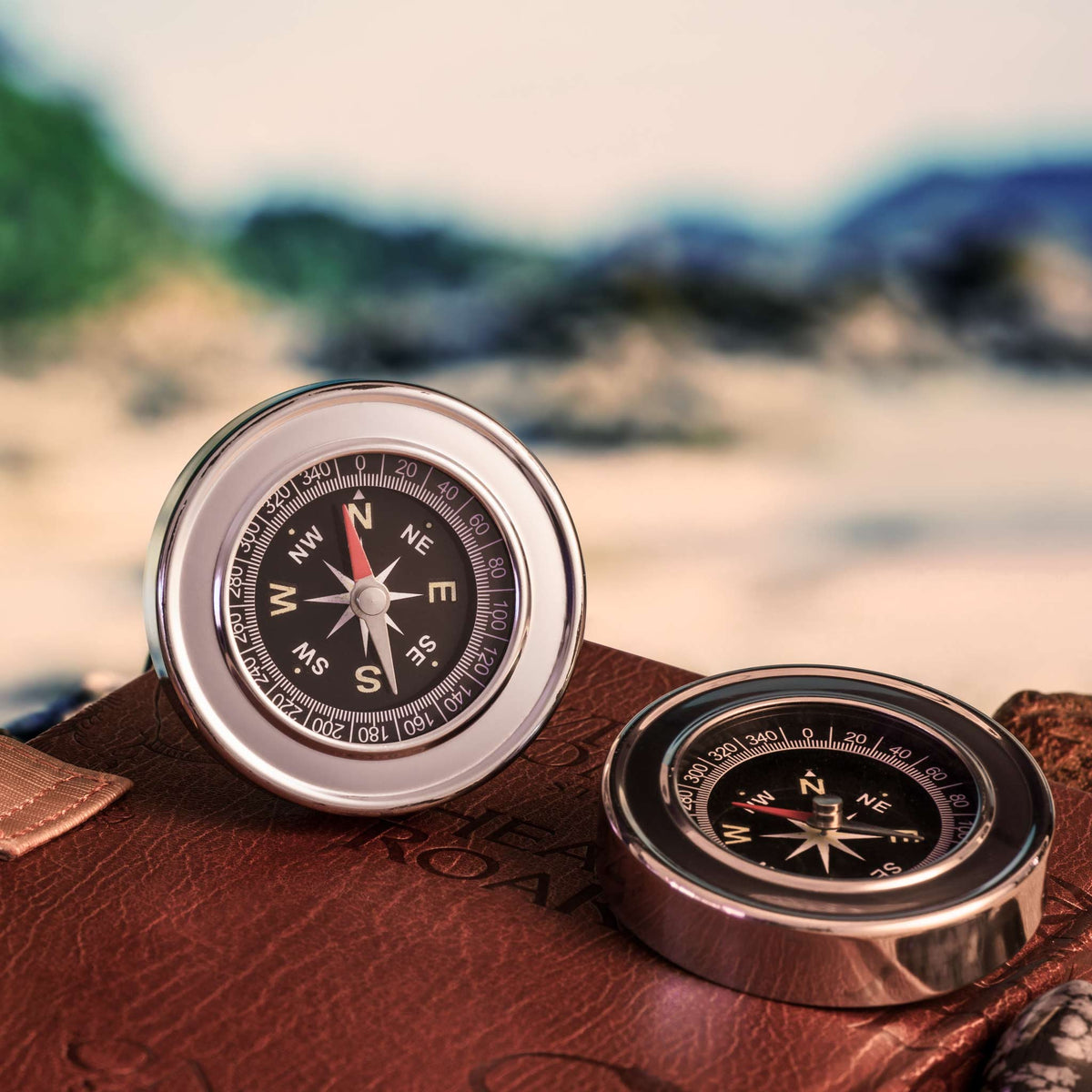 Compass Stainless Steel — Heebie Jeebies USA